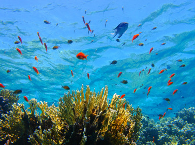 ALPITOUR - Catalogo Collezione 2026 - Canarie & Egitto | Agenzia Viaggi ...